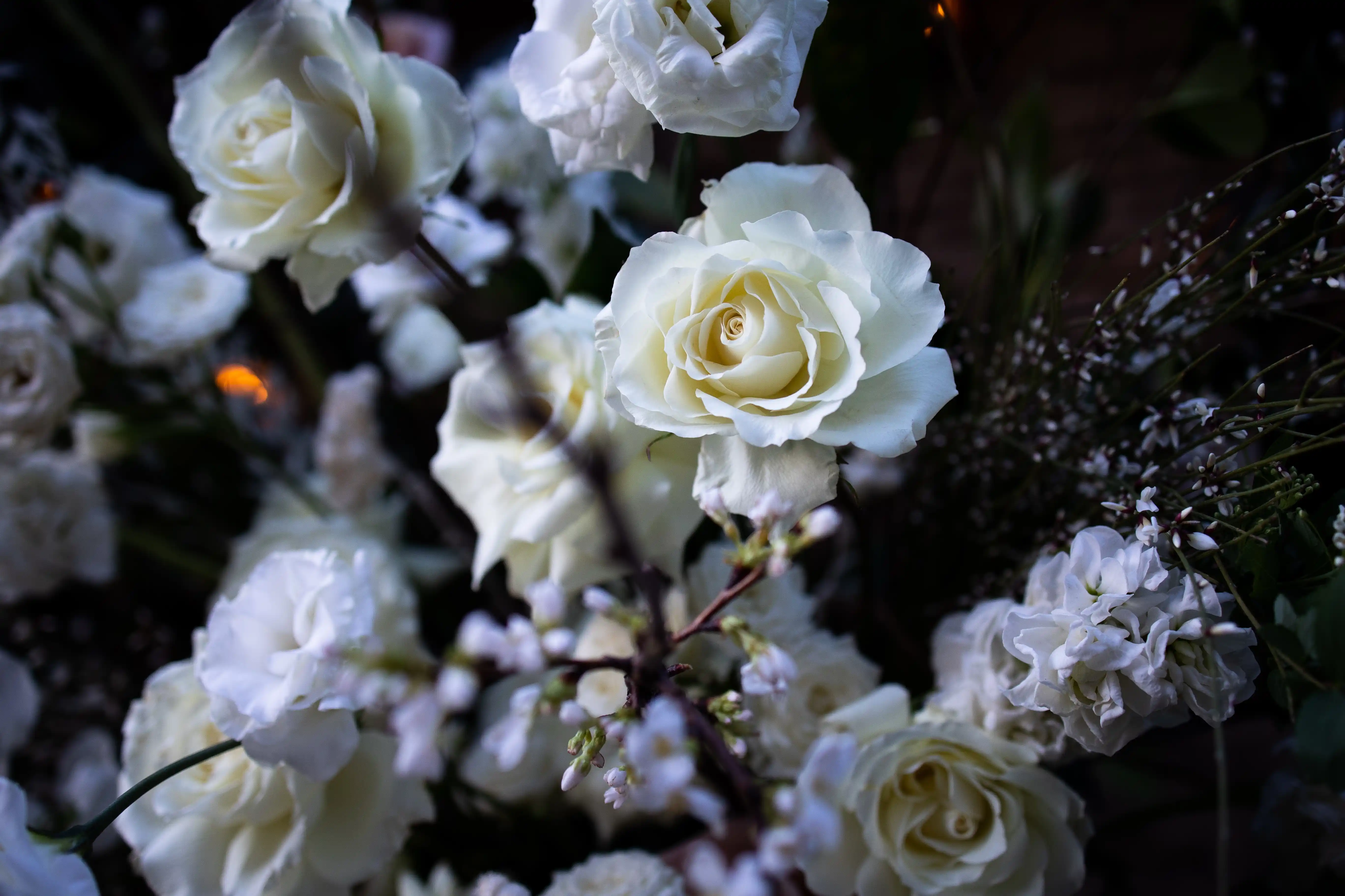 Rose bouquet: 3 tips on how to care for roses in winter - Flower ...